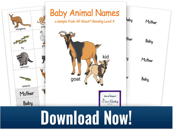 Baby Animal Names (FREE Downloadable Matching Activity)