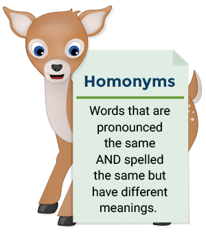 How to Teach Homophones (3 Downloads & the Homophone Machine!)