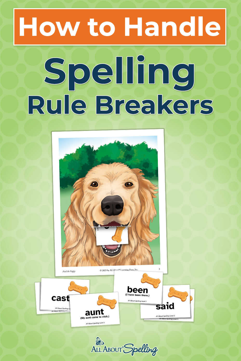 How to Handle Spelling Rule Breakers (FREE Download + Video)