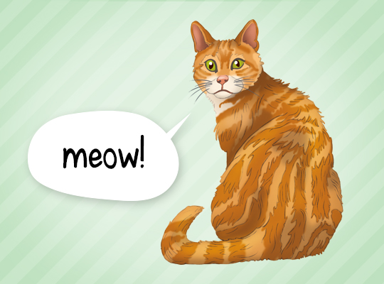 Let’s Learn about Onomatopoeia