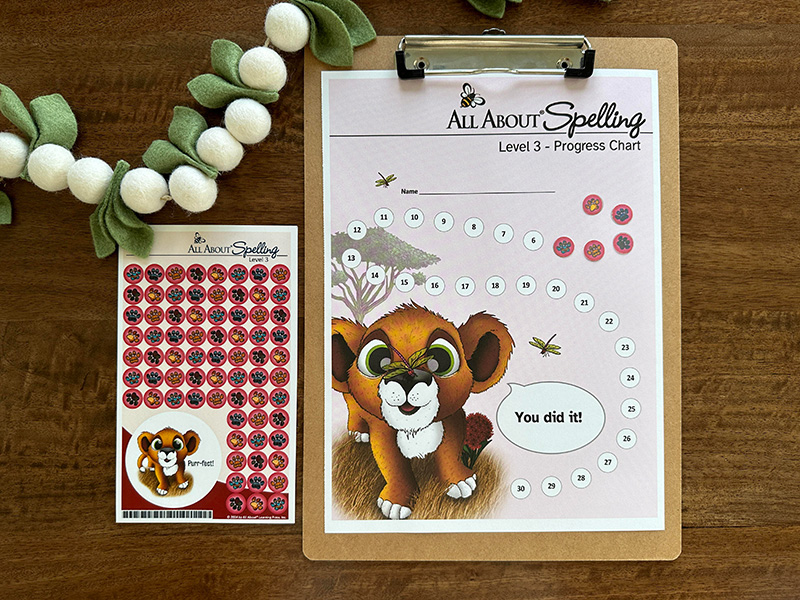 Introducing All About Spelling Level 3 Color Edition!